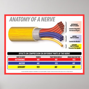 Nerv Poster | Zazzle.de