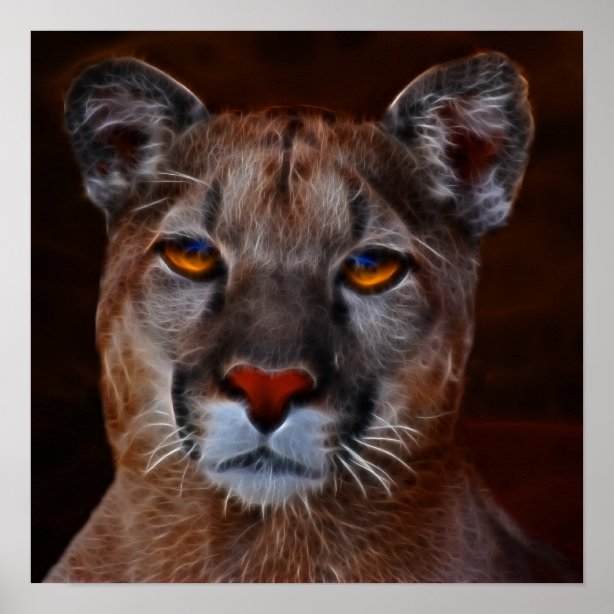 Puma Poster | Zazzle.de