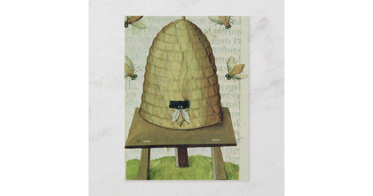 Bienen und Bienen Postkarte | Zazzle.de