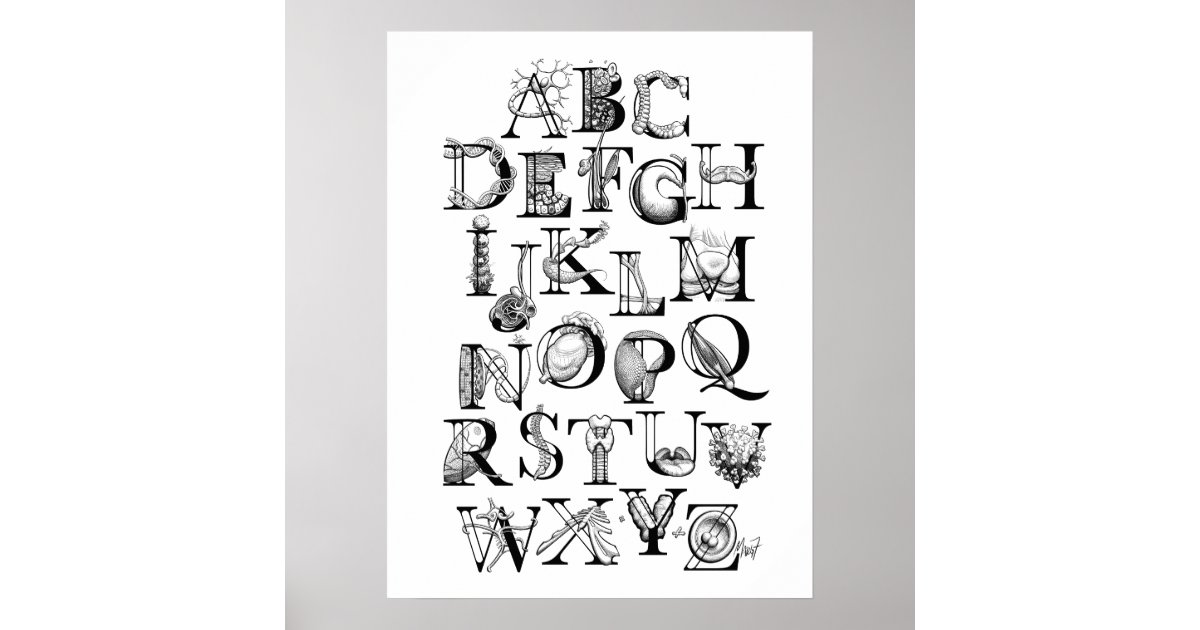 Biologie-Alphabet-Poster (18x24) Poster | Zazzle.de