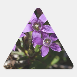 Enzian Aufkleber | Zazzle.de