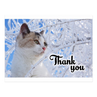 Danke Katze Postkarten | Zazzle.de
