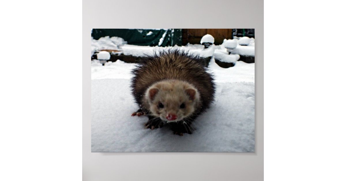 Der Große ist schwindelig Poster | Zazzle.de