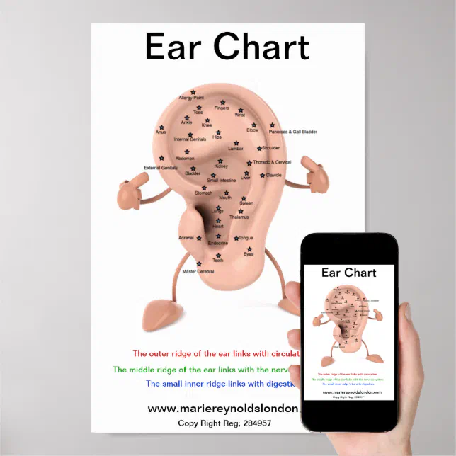 Ear Chart Poster | Zazzle.de
