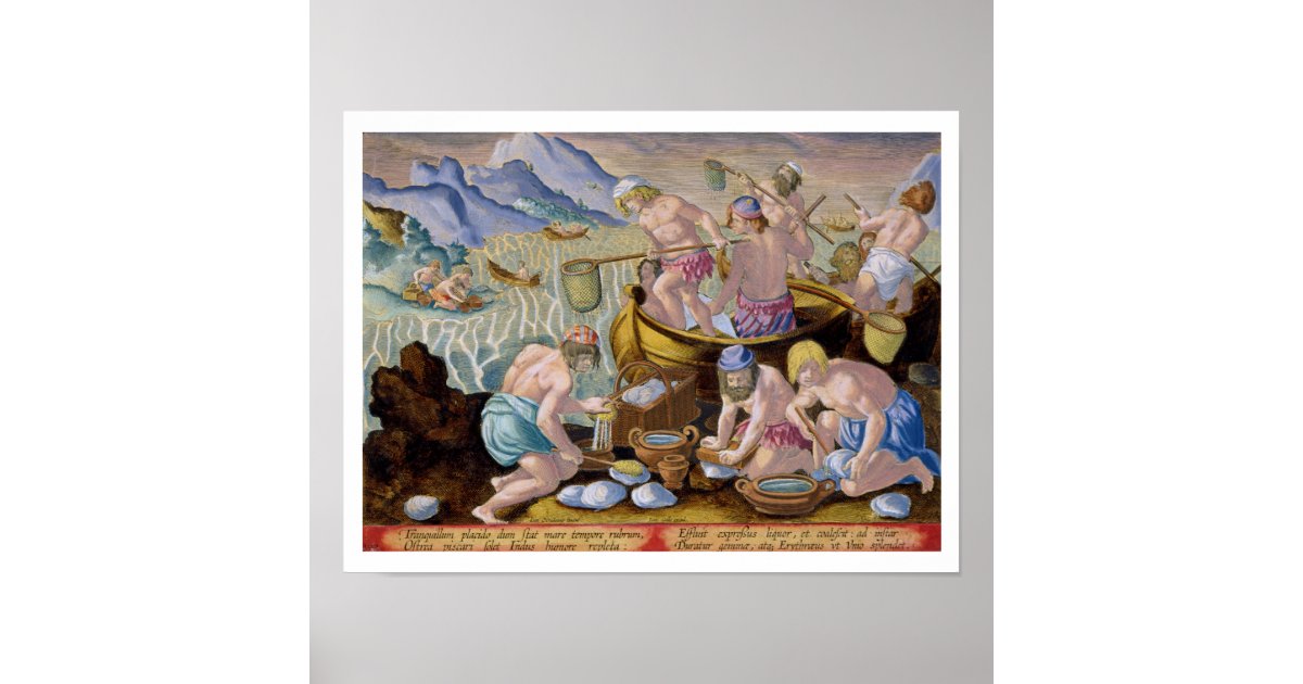 Einheimische, die für Riesenmuscheln an der Indus, Poster | Zazzle.de