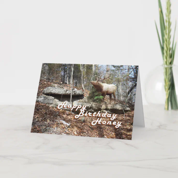 Elk Birthday card Karte | Zazzle.de
