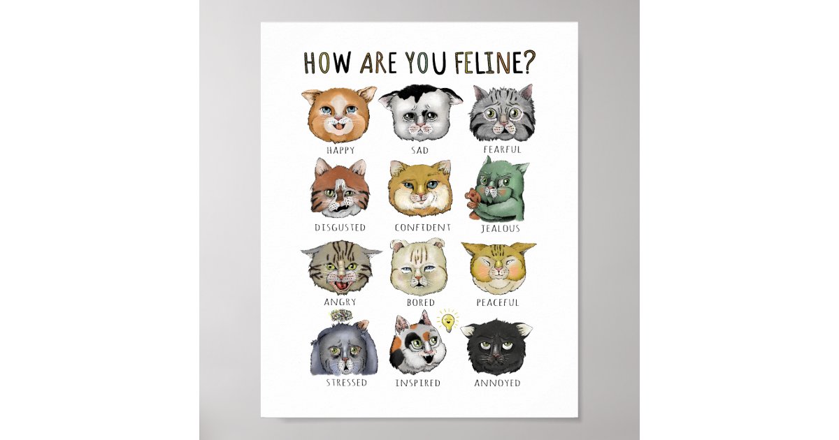 Funny Cat Gefühl Chart Wie geht es dir? Poster | Zazzle.de