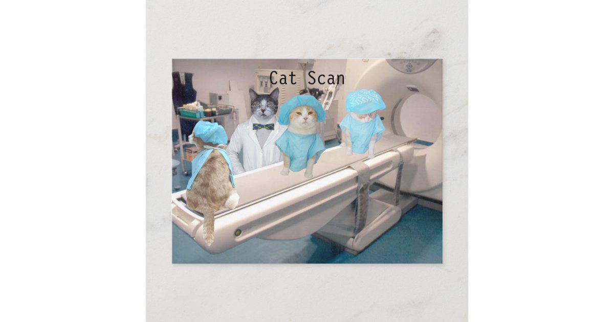 Funny Cat Scan Image Postkarte | Zazzle.de