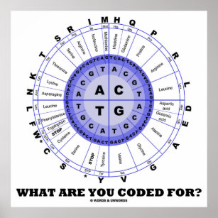 Genetischer Code Poster | Zazzle.de