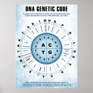 Genetischer Code Poster | Zazzle.de