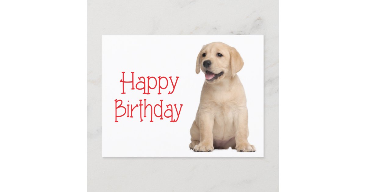 Happy Birthday Yellow Labrador Retriever Postcard Postkarte | Zazzle.de