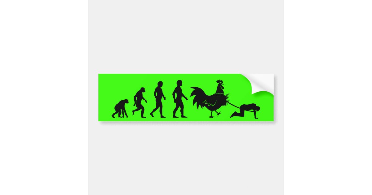 Huhn-Evolution Autoaufkleber | Zazzle.de