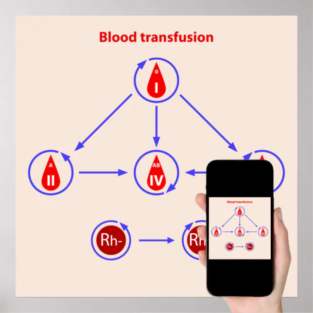 infographische Bluttransfusion Poster | Zazzle.de