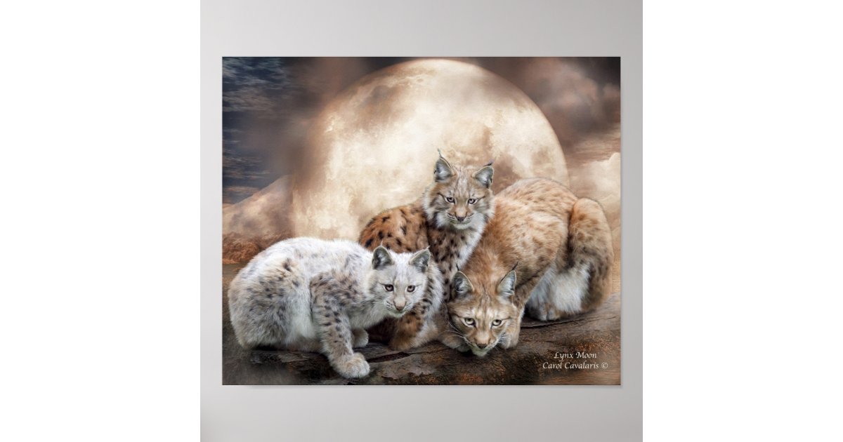 Lynx Moon Art Poster/Print Poster | Zazzle.de