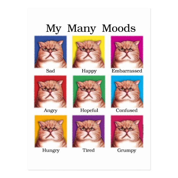 Stimmung Postkarten | Zazzle.de