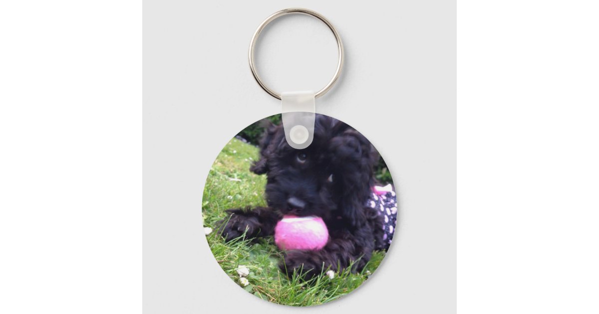 Niedlicher Cockapoo Welpe Round Button Key Ring Schlüsselanhänger ...