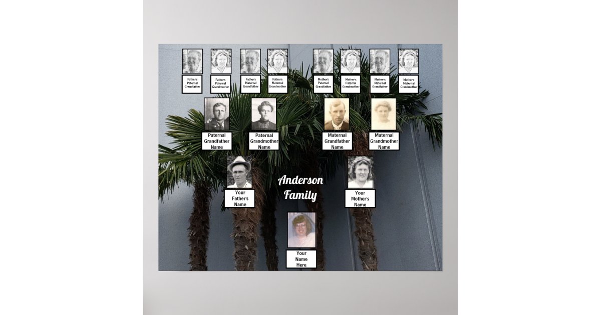 Palm Tree Cluster Foto Family Tree Poster | Zazzle.de
