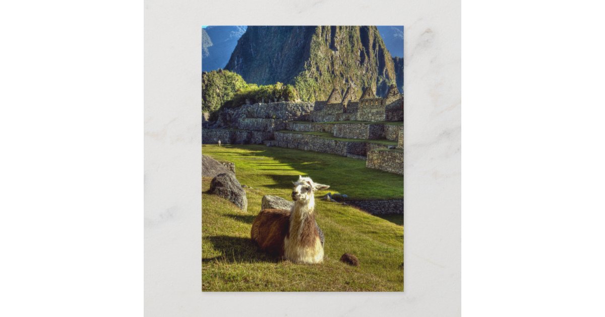 Peru, Anden, Anden, Machu Picchu Postkarte | Zazzle.de