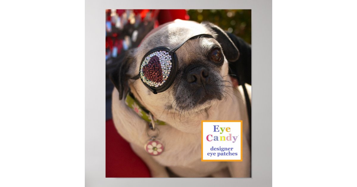 Poster: Eye Candy Eyes Mascot, Trixie der Mops Poster | Zazzle.de