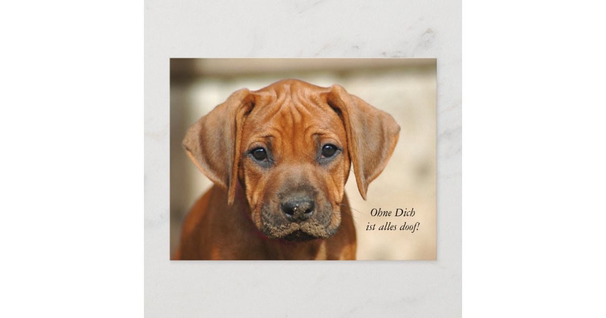 Postkarte "Ohne Dich ist alles doof!" | Zazzle.de