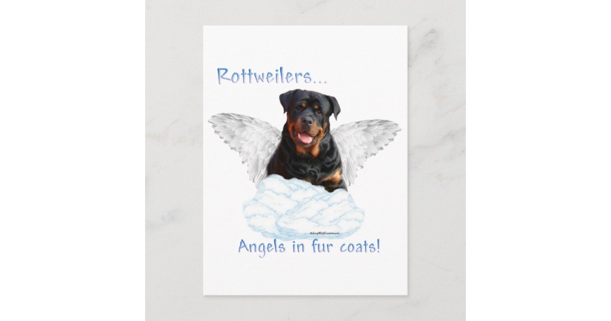 Rottweiler Angel Postkarte | Zazzle.de
