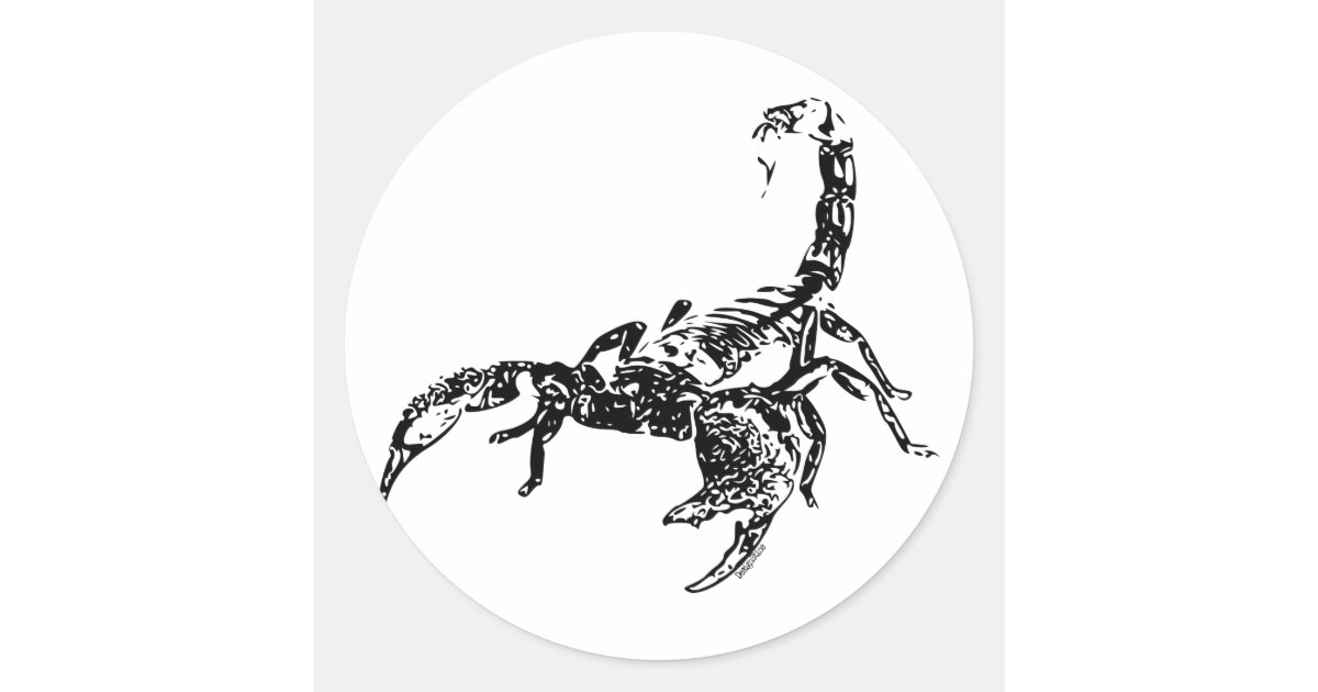 Skorpion - Aufkleber | Zazzle.de