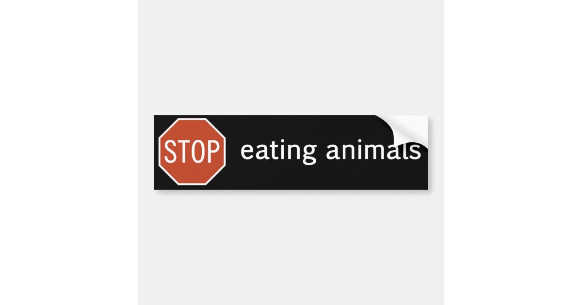STOPP-EATING-ANIMALS AUTOAUFKLEBER | Zazzle.de