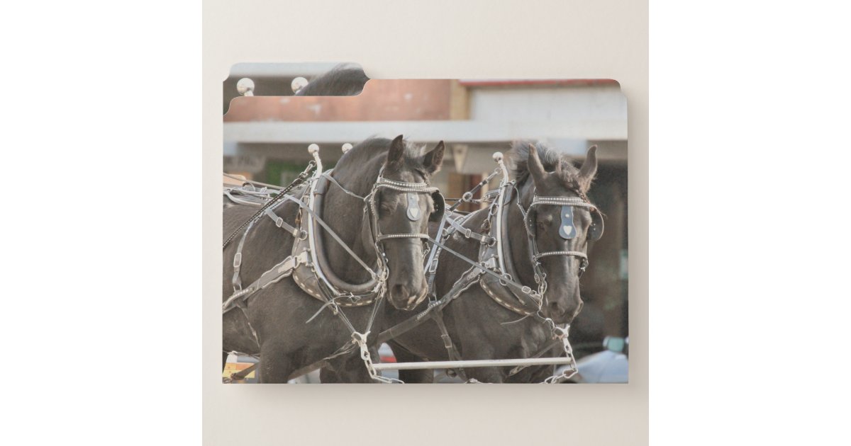 Teamarbeit Papiermappe | Zazzle.de