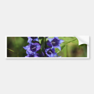Enzian Aufkleber | Zazzle.de